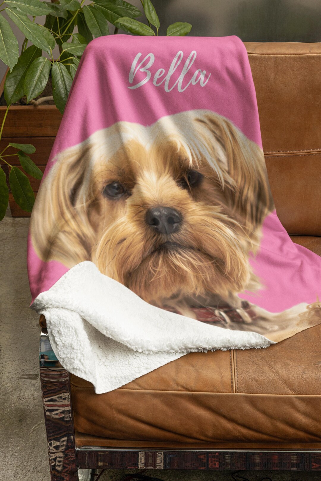 Personalized Plush Blanket, Pet Snuggle Blanket, Home Decor, Furry Baby ...