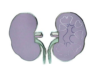 Nephrology Pin - Etsy