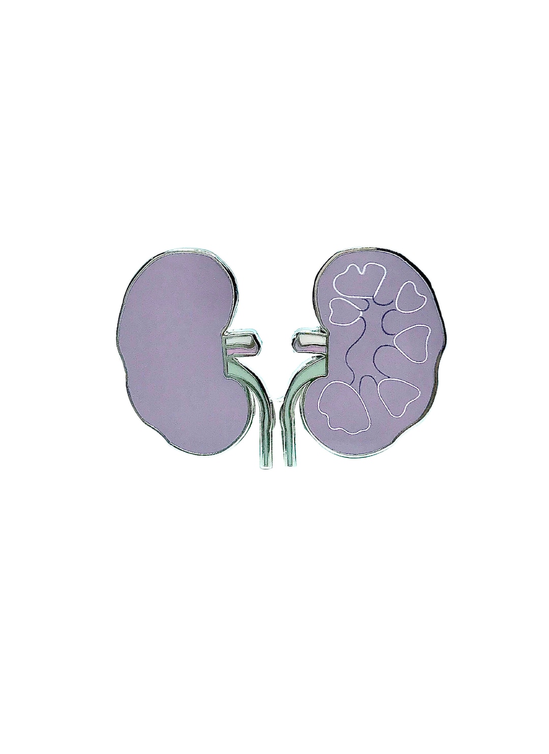 Kidney Pin, Urology, Urology Pin, Nephrologist Pin, Nephrology Pin ...