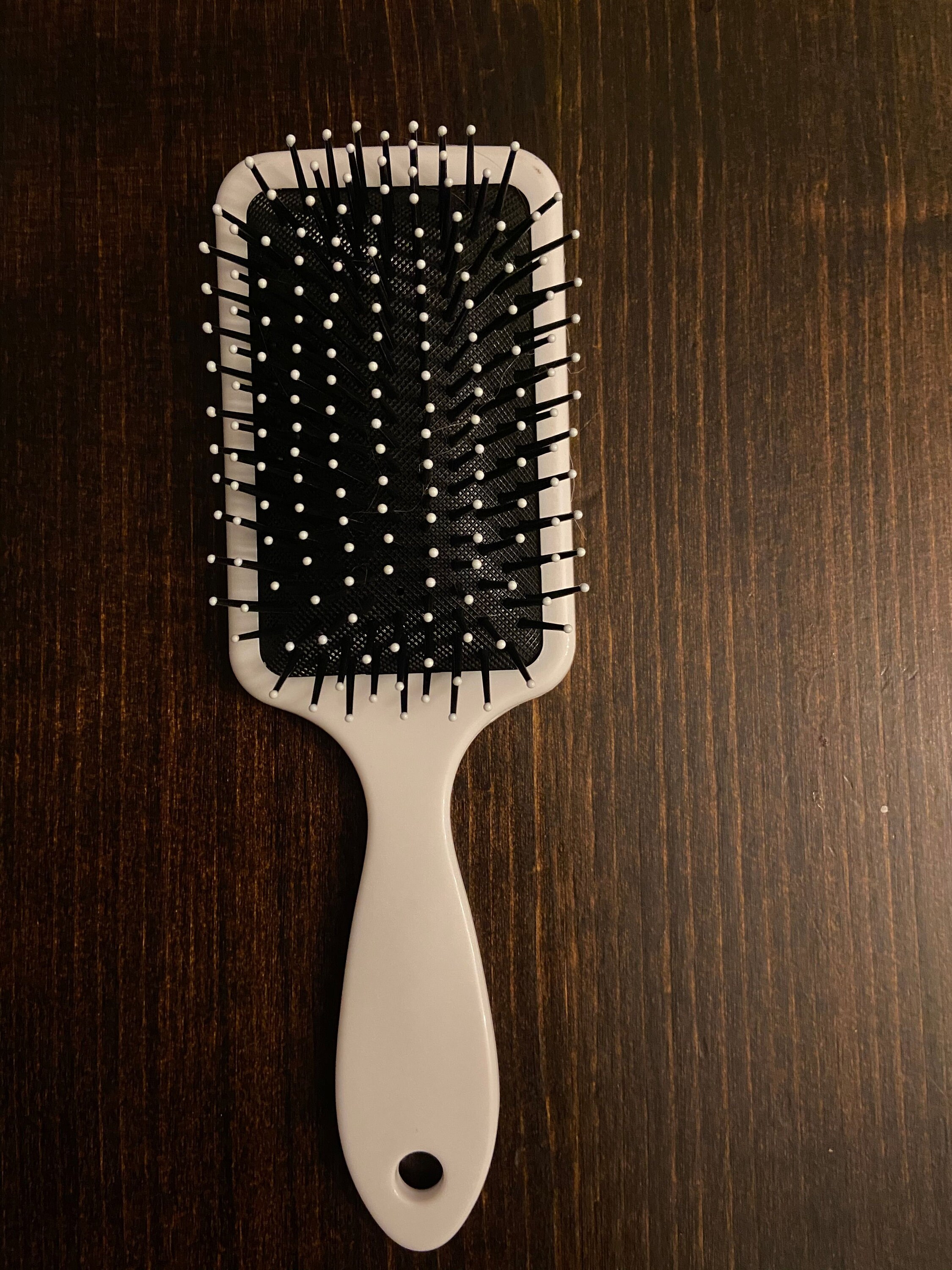 Hair Brush, Stock Show Brush, Livestock Brush, Stock Show Life, Stock ...