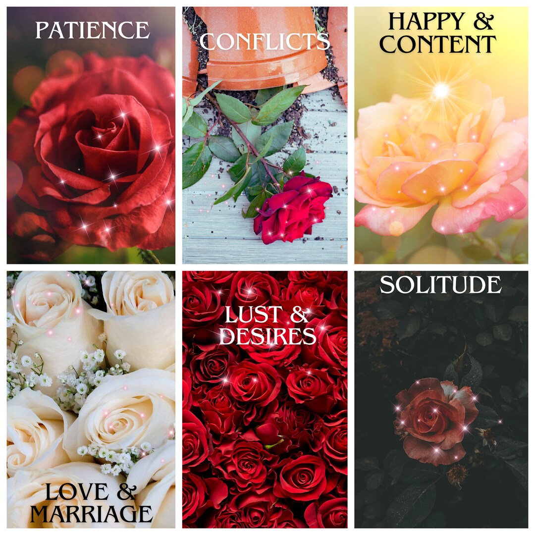Roses of Love Oracle | Twin Flame | Soulmate | Love Situations | Pre ...