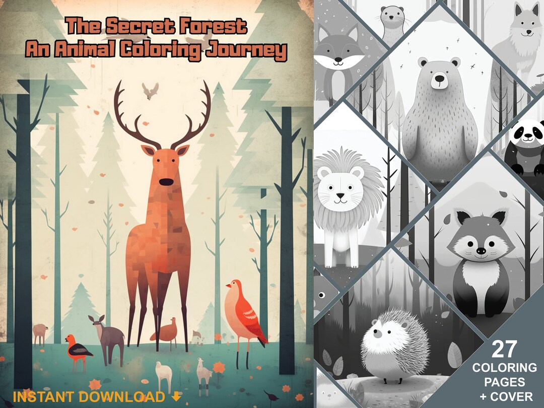 The Secret Forest, an Animal Coloring Journey, 27 Imaginative Coloring ...
