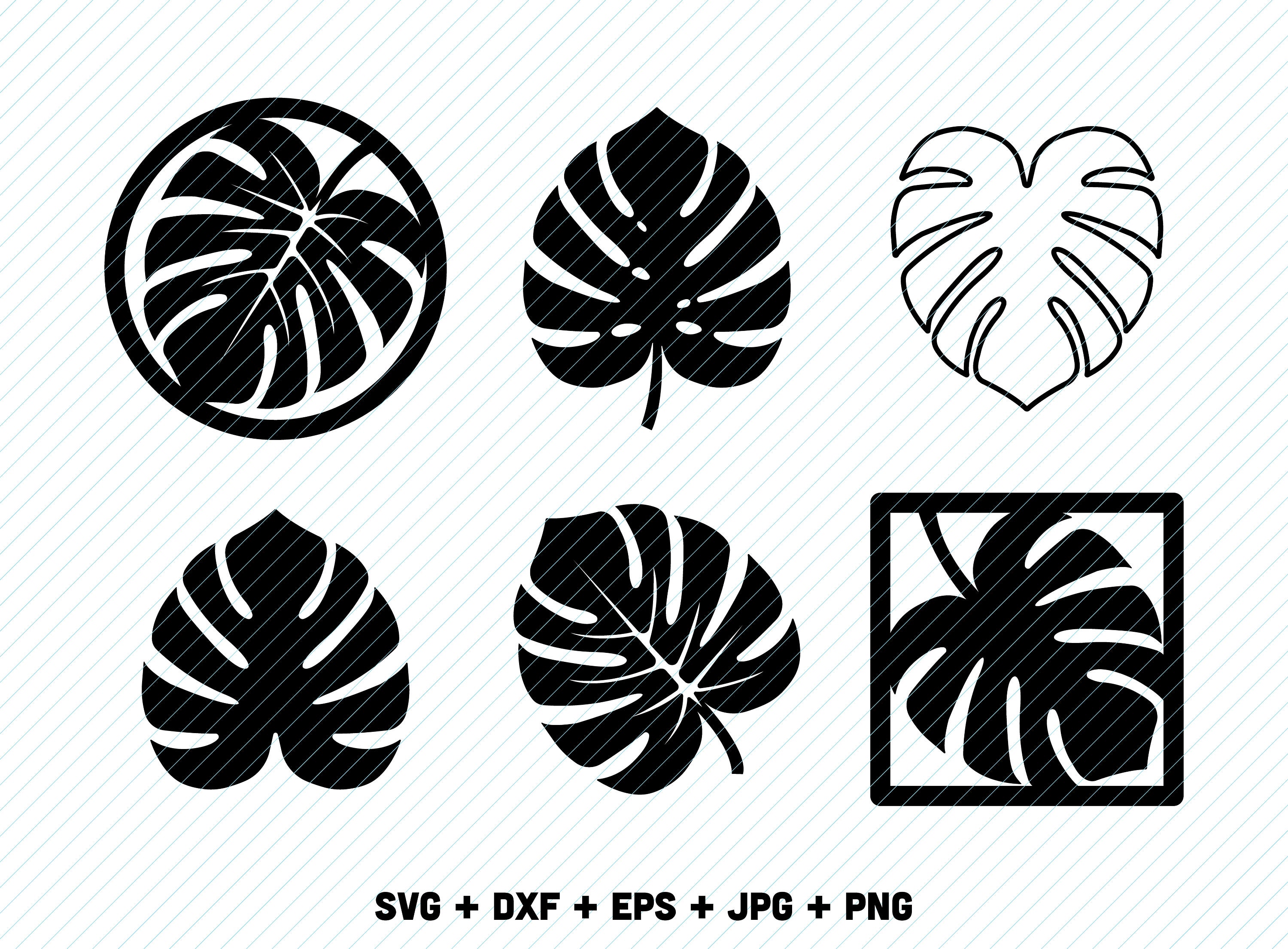 Bundle. Monstera SVG. Monstera Cricut. Monstera Cut file. | Etsy