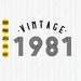 Vintage 1981 Svg, Png, Eps, Jpg, 1981 Birthday Svg, 1981 Birthday Shirt ...