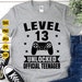 Level 13 Unlocked Official Teenager Svg, 13th Birthday Svg, Birthday ...