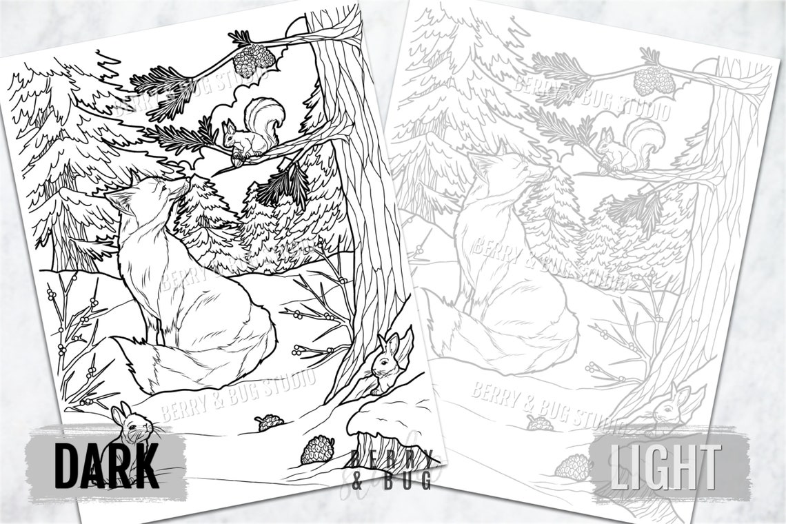 Winter Fox and Friends Coloring Page - Printable Adult Coloring Page ...