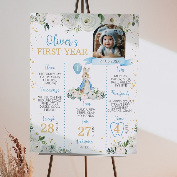 Peter Rabbit First Birthday - Etsy