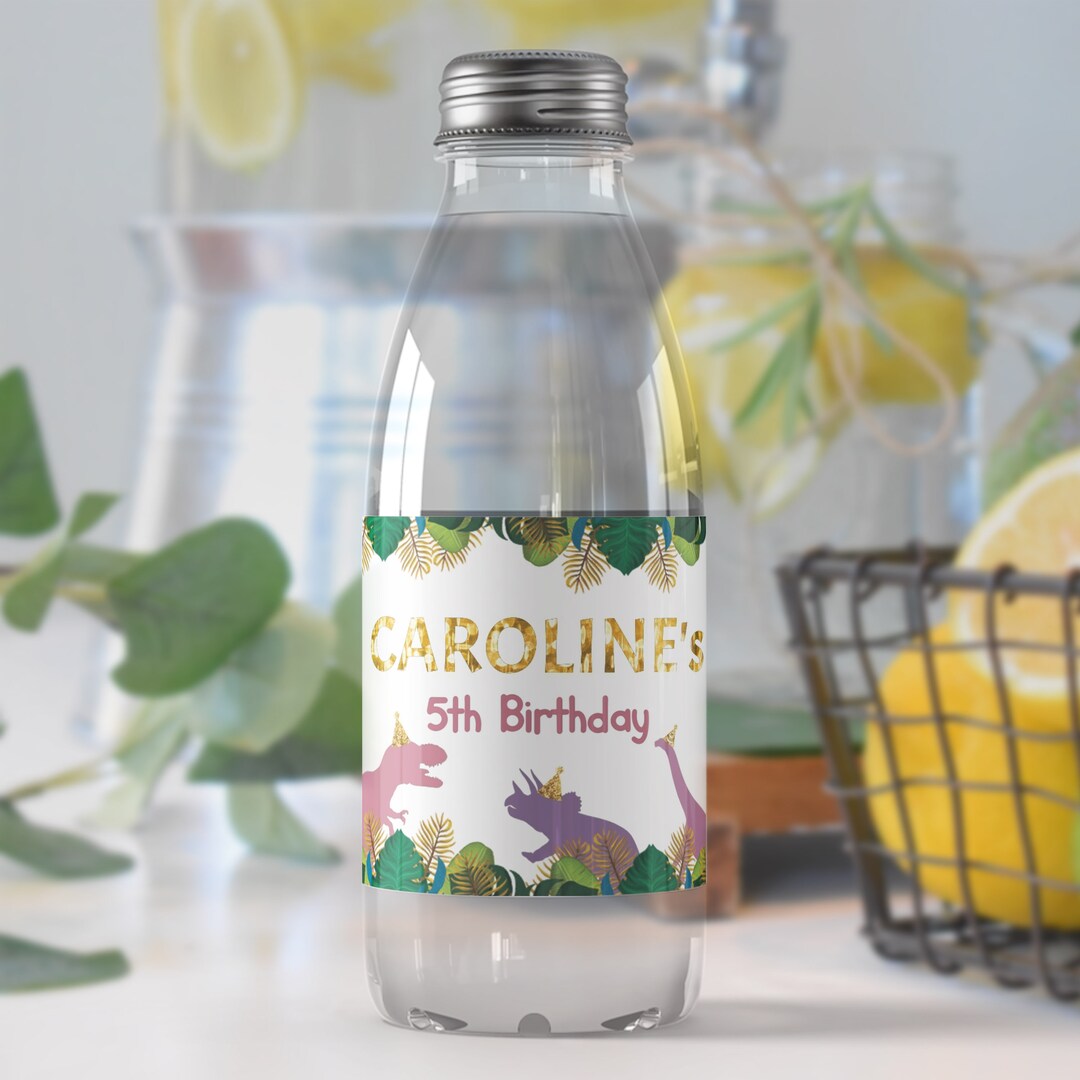 EDITABLE Dinosaur Water Bottle Label, Trex Birthday Water Bottle ...