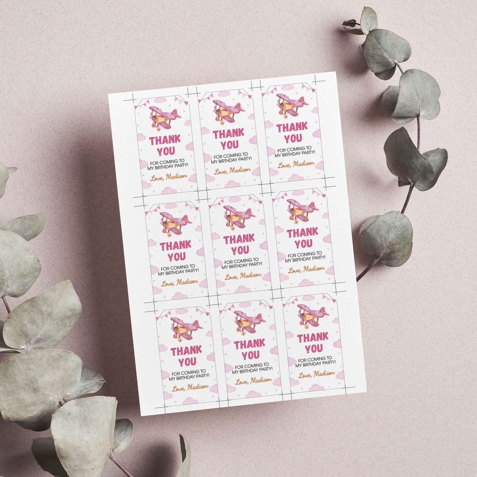 EDITABLE Airplane Birthday Favor Tags, Pink Girl Airplane Party Thank ...