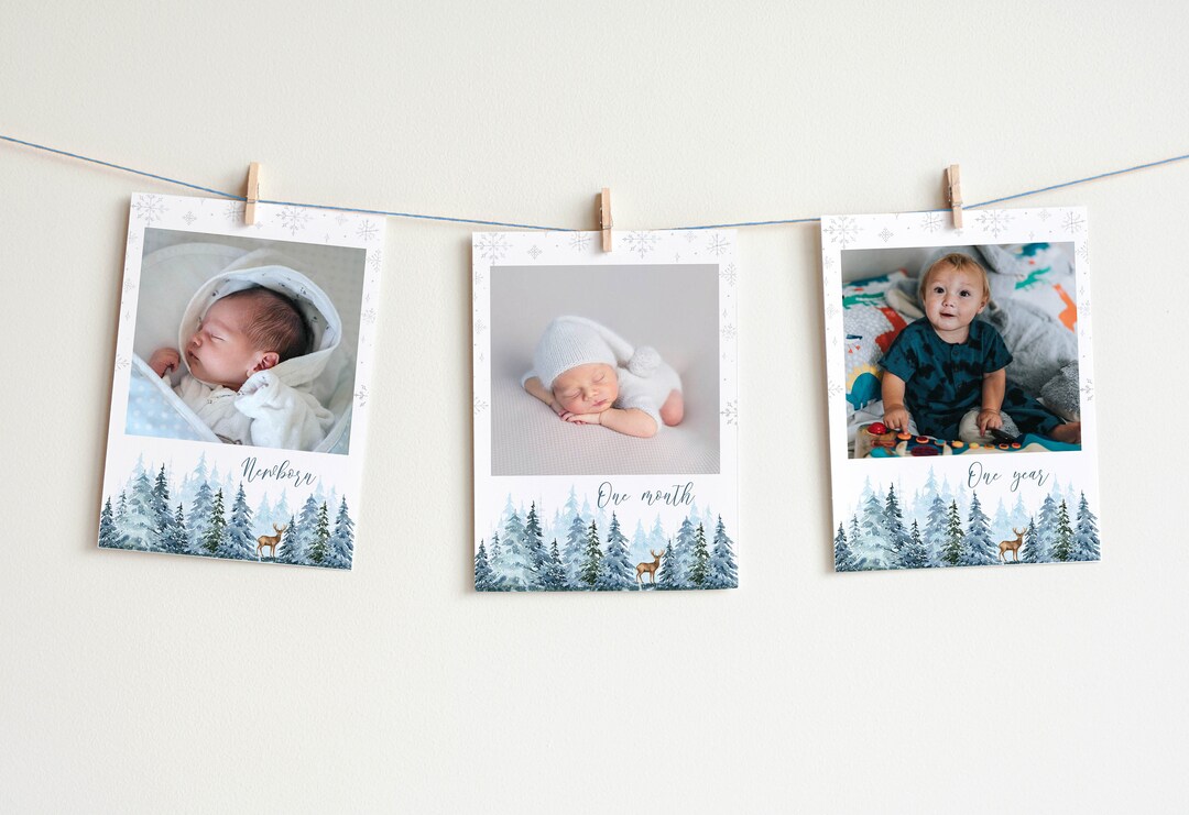 Editable Winter Onederland Birthday Photo Banner, Winter Woodland 12 ...