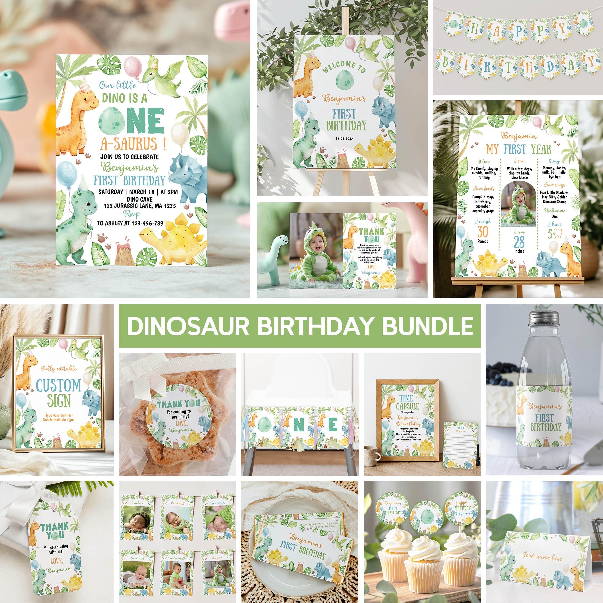 Editable Dinosaur Birthday Invitation Set, Oneasaurus Birthday Bundle ...