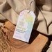 EDITABLE Pastel Rainbow Favor Tags, Pastel Thank You Tag, Pastel ...