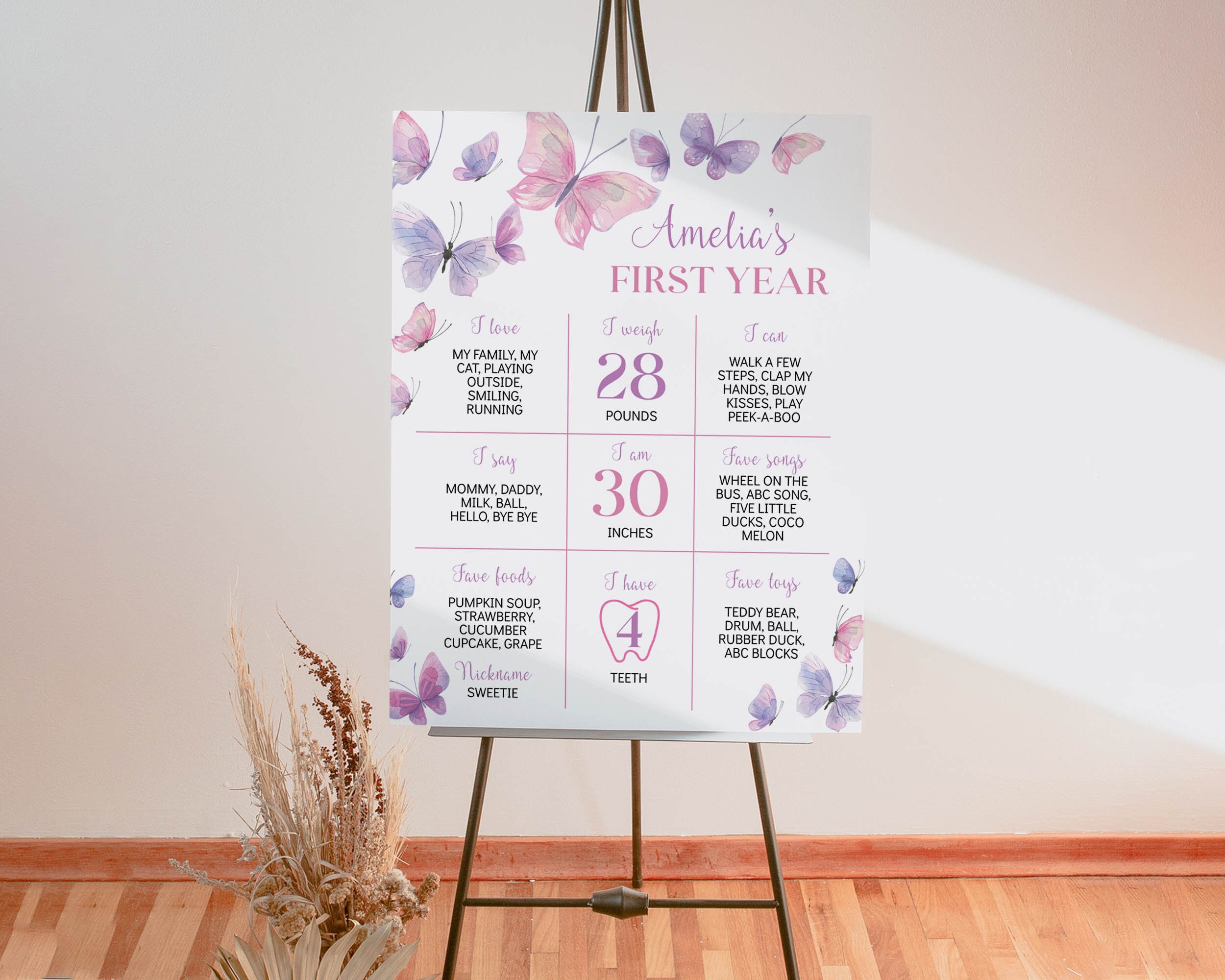 EDITABLE Butterfly Milestone Board Pastel Girl 1st Birthday - Etsy