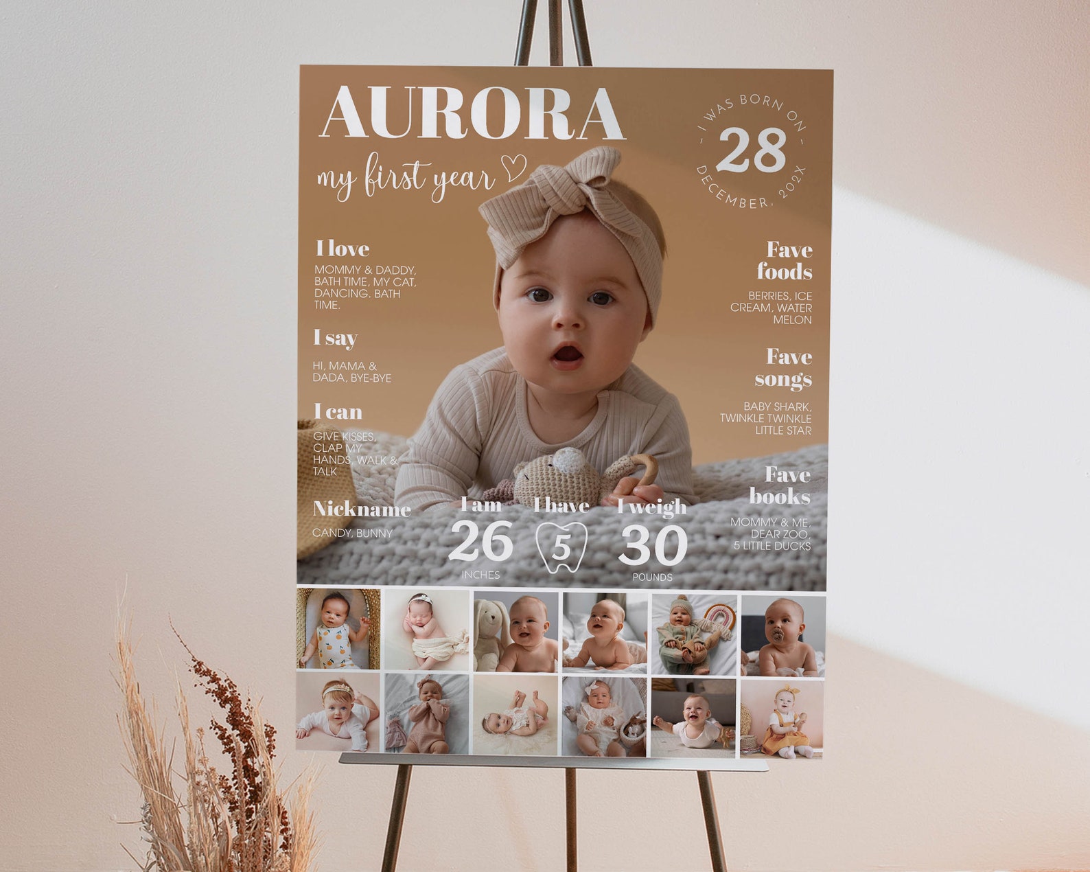 EDITABLE First Birthday Milestone Sign, Modern 1st Birthday Milestone ...