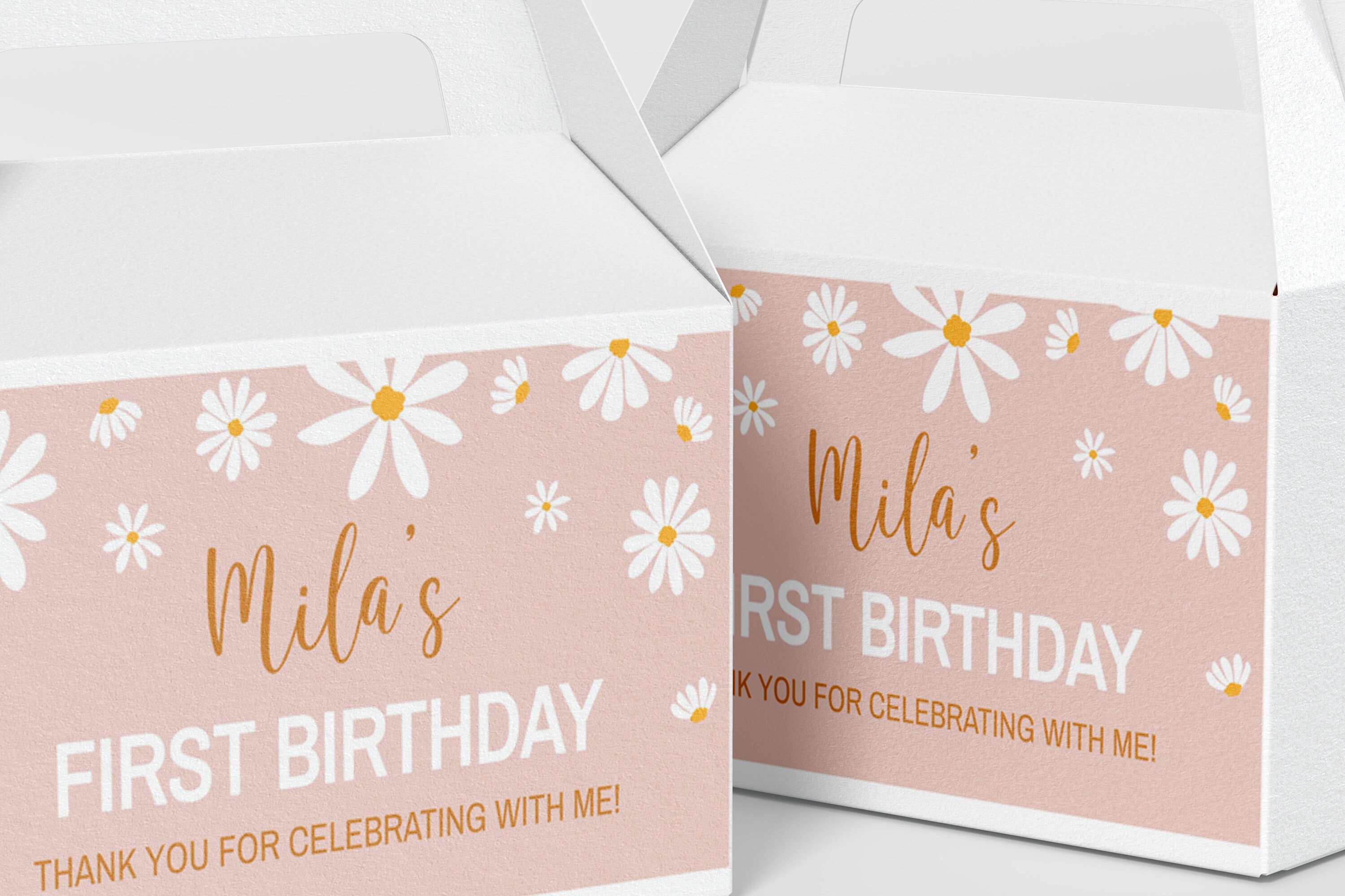 EDITABLE Daisy Birthday Party Gable Gift Box Label, Retro Daisy Favor ...