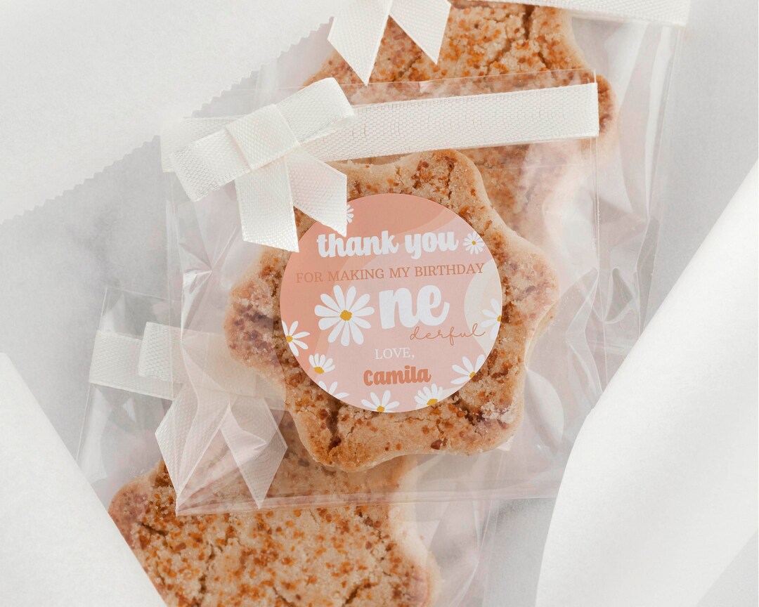 EDITABLE Daisy Birthday Party Thank You Tag, Daisy 1st Birthday Favor ...