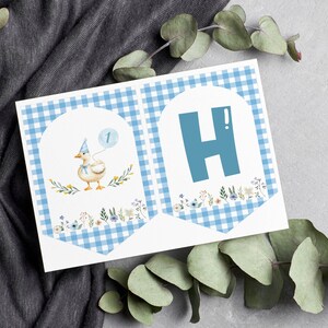 Editable One Silly Goose Birthday Banner, Silly Goose Birthday Decor ...