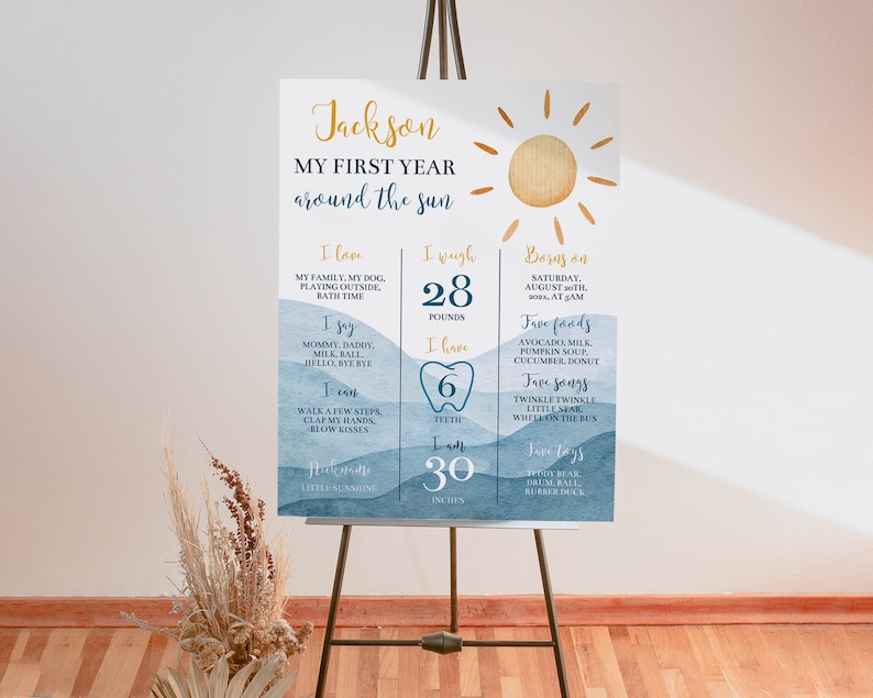 EDITABLE First Trip Around the Sun Milestone Board Sunshine - Etsy
