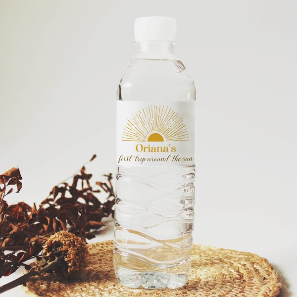 First Trip Around the Sun Svg - Etsy