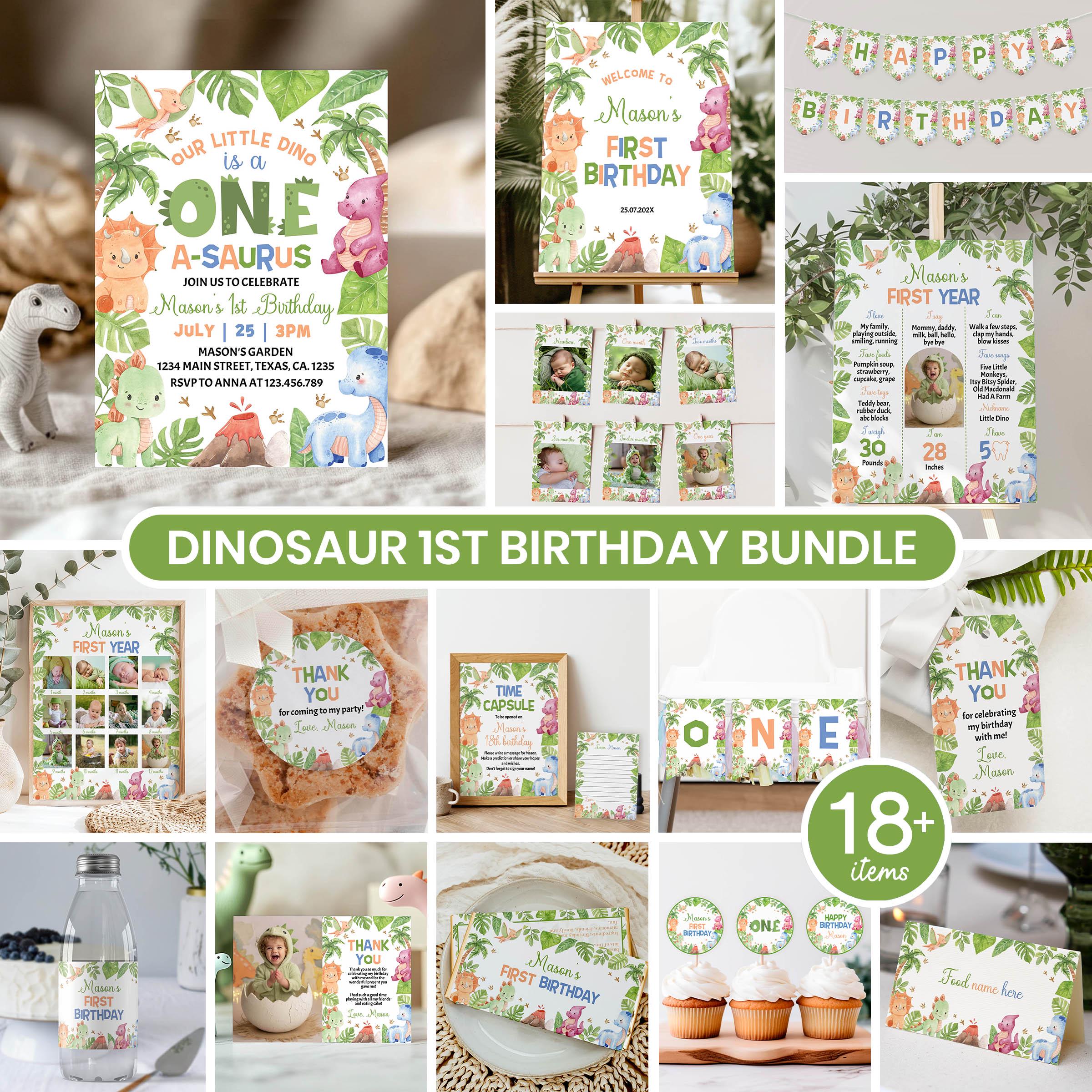 Editable Dinosaur Birthday Invitation Set, Oneasaurus Birthday Bundle ...