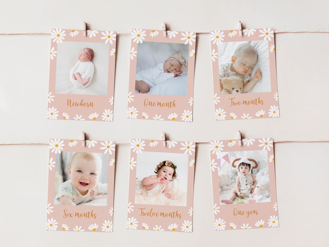 Editable First Year Photo Banner, 12 Months Photo Print, Daisy First ...