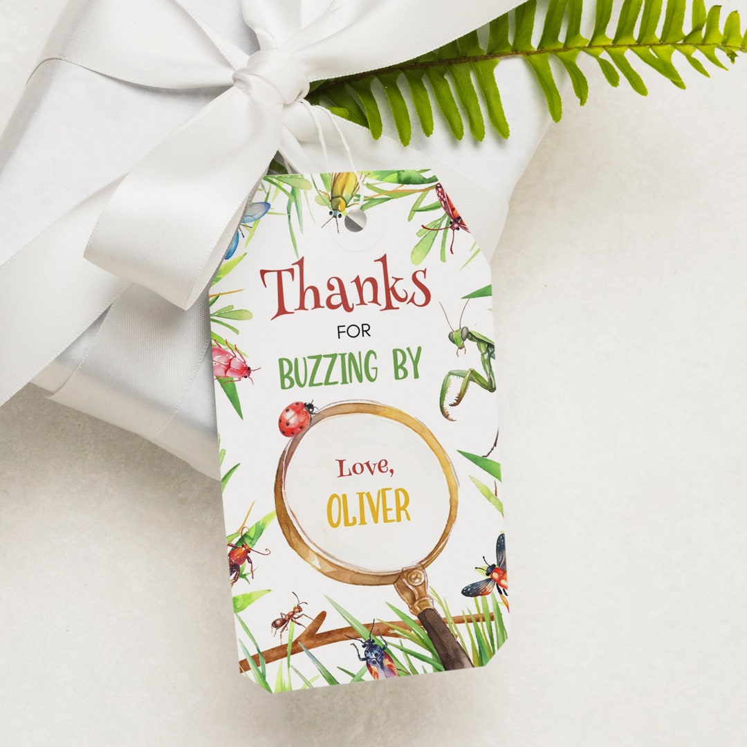 EDITABLE Bugs Birthday Thank You Tag, Boy Birthday Party Favor Tag ...