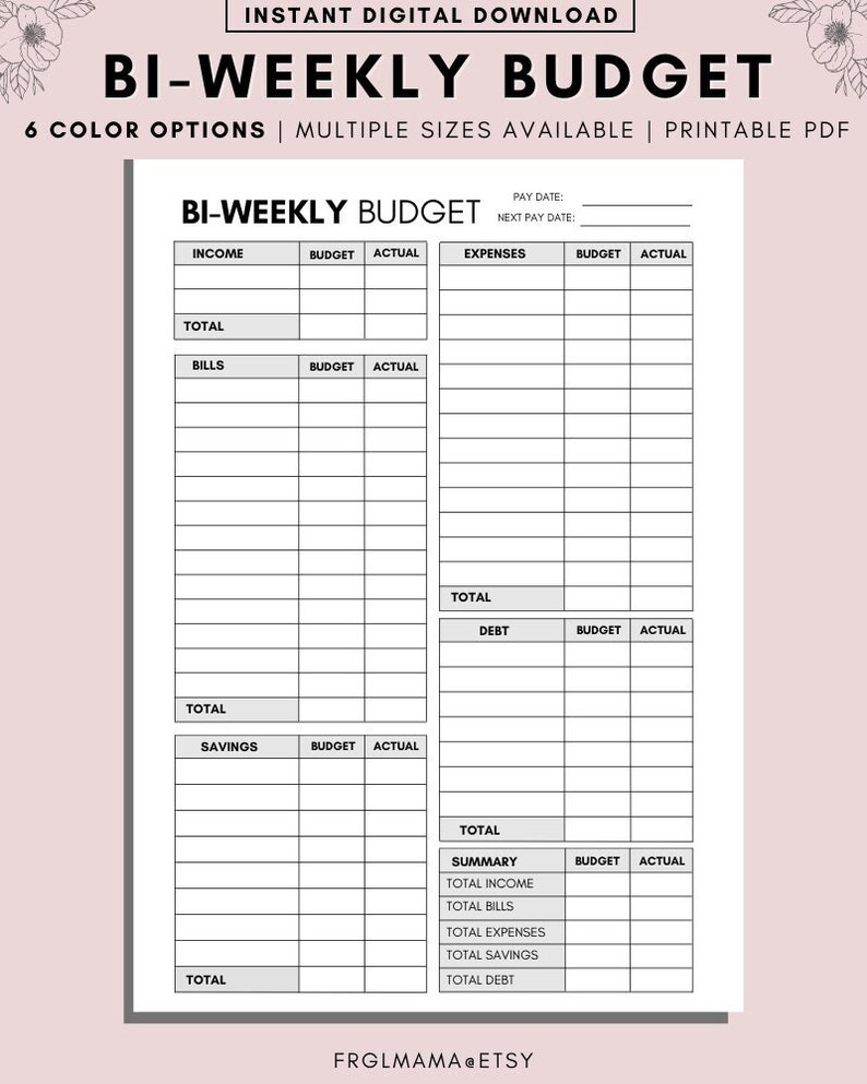 BI-WEEKLY Budget Overview Template Printable Paycheck Budget | Etsy