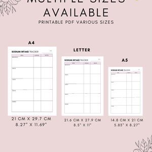 Printable Daily Sodium Intake Tracker, Sodium Intake Log, Daily Food Diary Printable, Meal ...