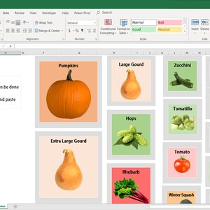 Excel Garden Planner Spreadsheet – Scaled Vegetable Layout Tool ...