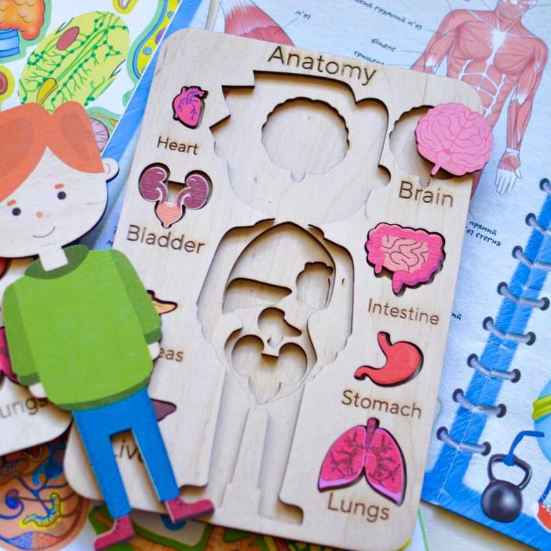 Human Body Puzzle - Etsy