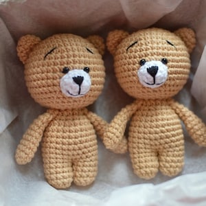 Twin Teddy Toys, Twins Baby Gift Set, Twin Mom Gifts, Twins Pregnancy ...