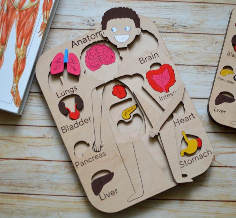 Educational Wooden Puzzle – Human Eye Anatomy Fun Learning Toy for Kids ...