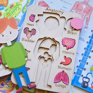 Human Brain Anatomy Structure, Brain Parts Matching Woden Board Game ...
