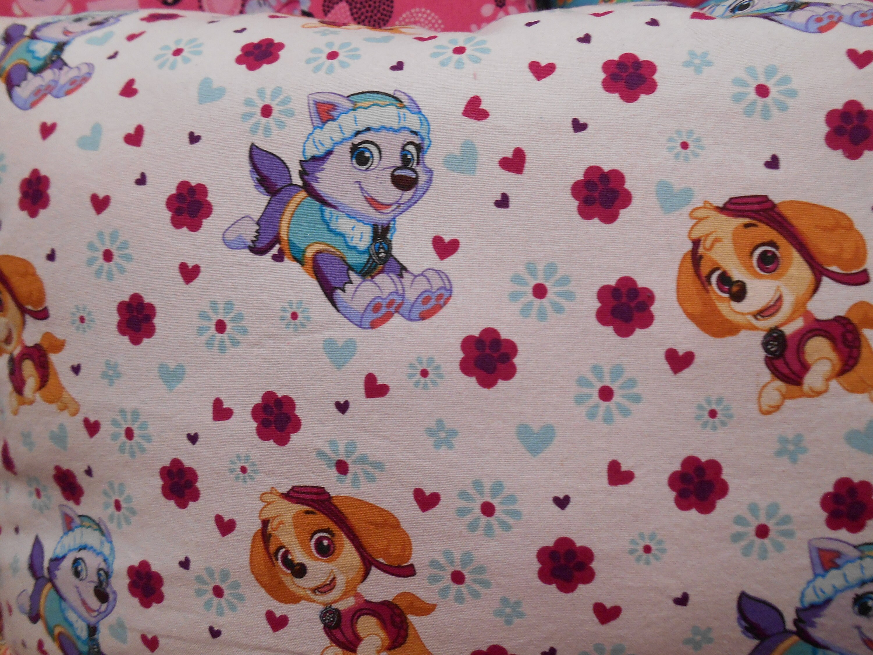 Paw Patrol Super Fluffy Almohada 18x15 pulgadas - Etsy España