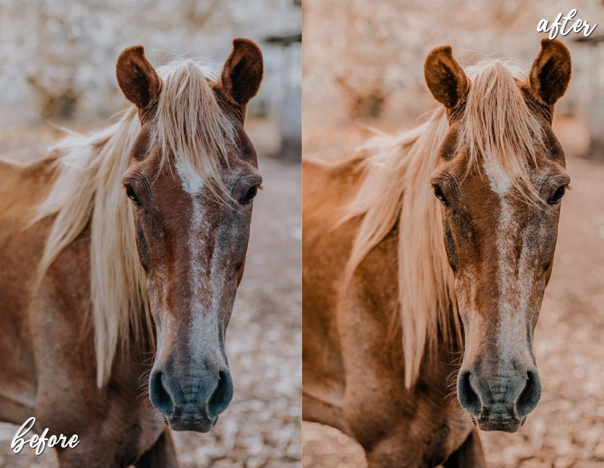 5 WESTERN GOLD presets Western filters Desert presets | Etsy