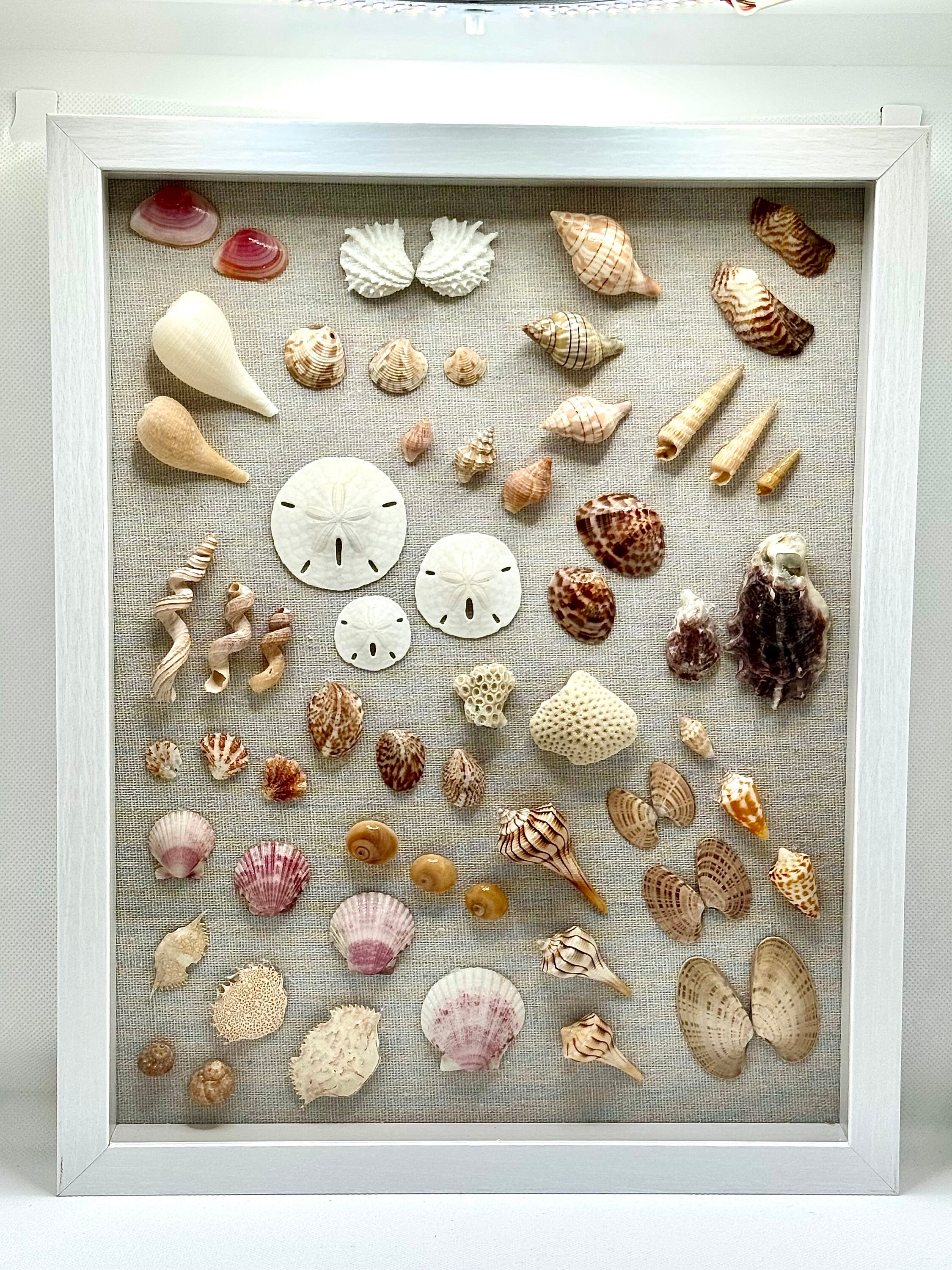 Florida Favorites Shell Shadow Box - Etsy
