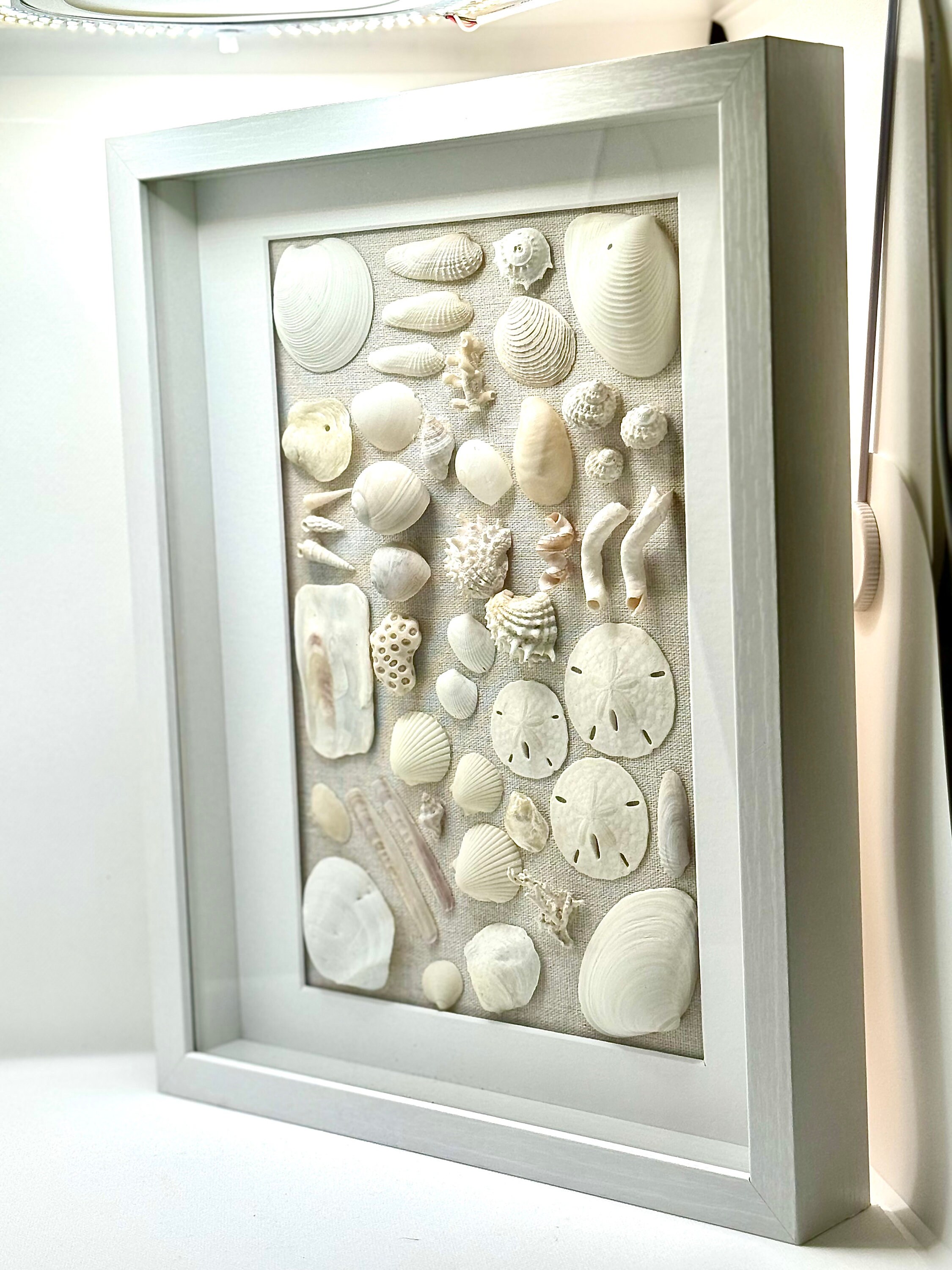 Wonderful Whites Florida Shells Shadow Box - Etsy