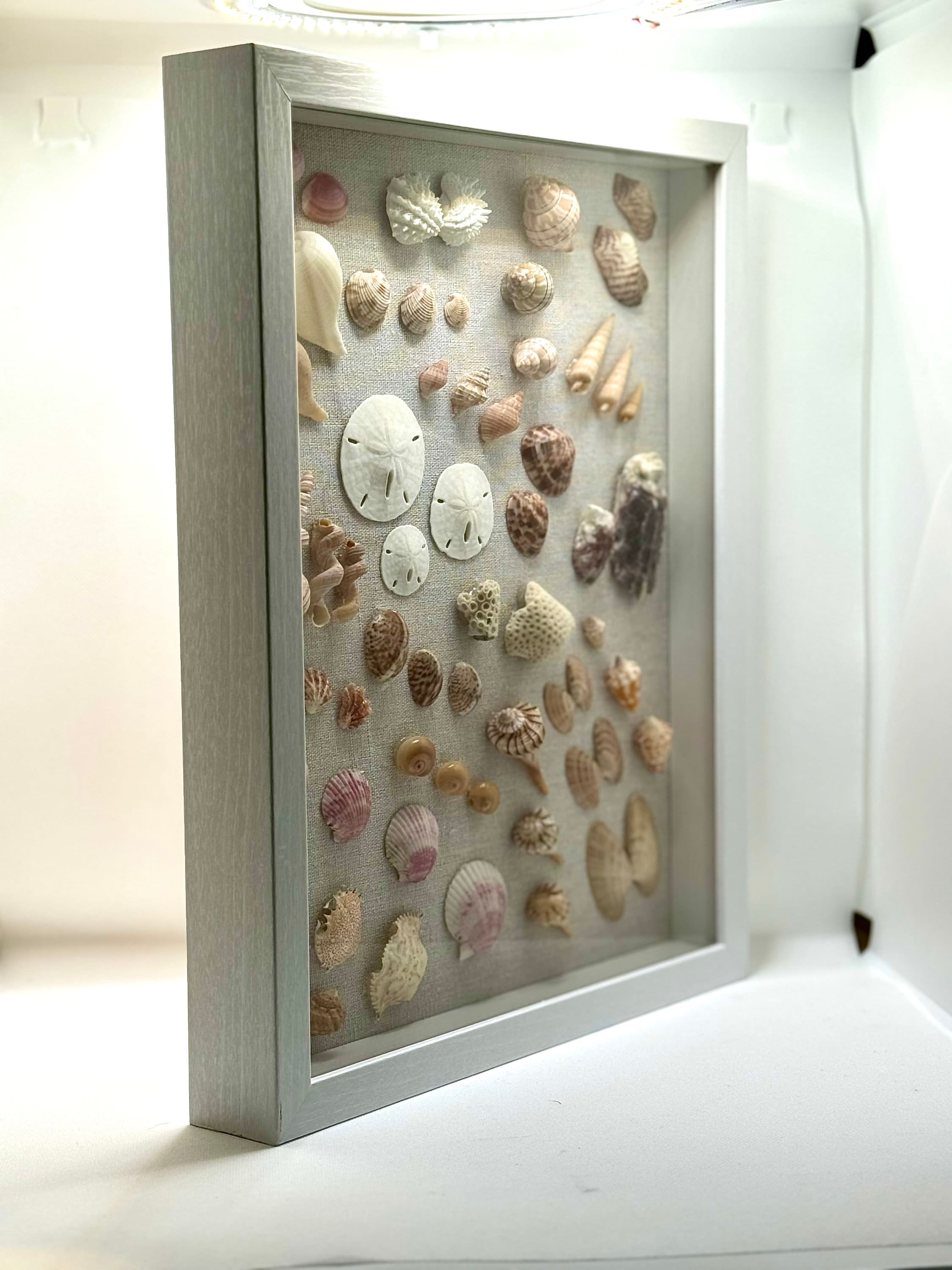 Florida Favorites Shell Shadow Box - Etsy
