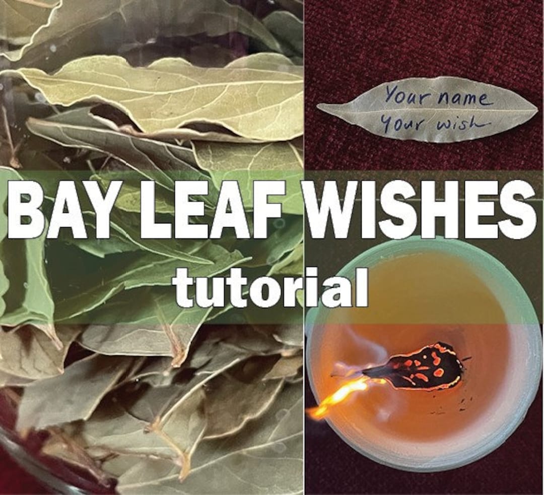 TUTORIAL BAY LEAF Wishes Ritual Works for Any Wish Immediate Download ...