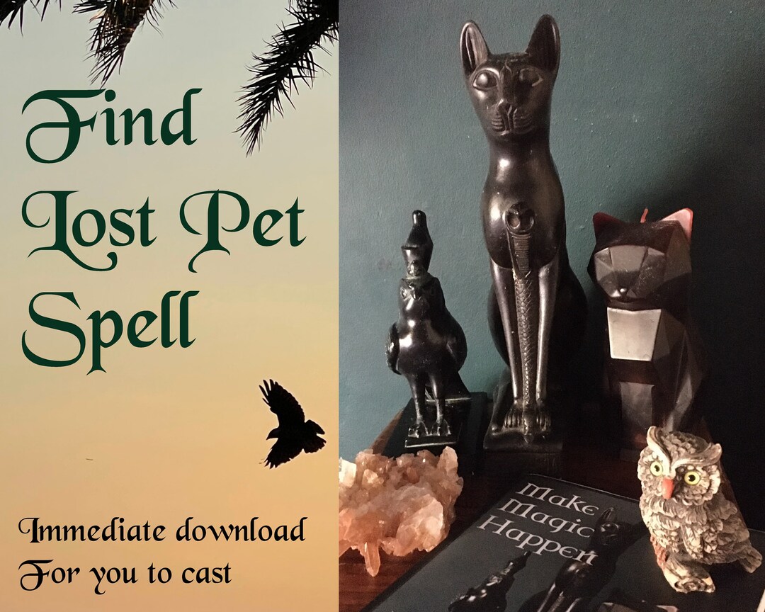 Find Lost Pet Spell Printable DIY Immediate Download Etsy