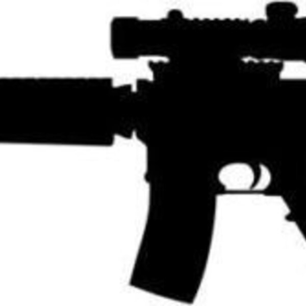 Rifle Scope Stickers - Etsy