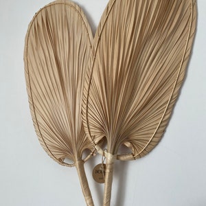 Dry Palm Leaf Wall Hanging, Leaf Standing Decor, Scandinavian Decor - Etsy