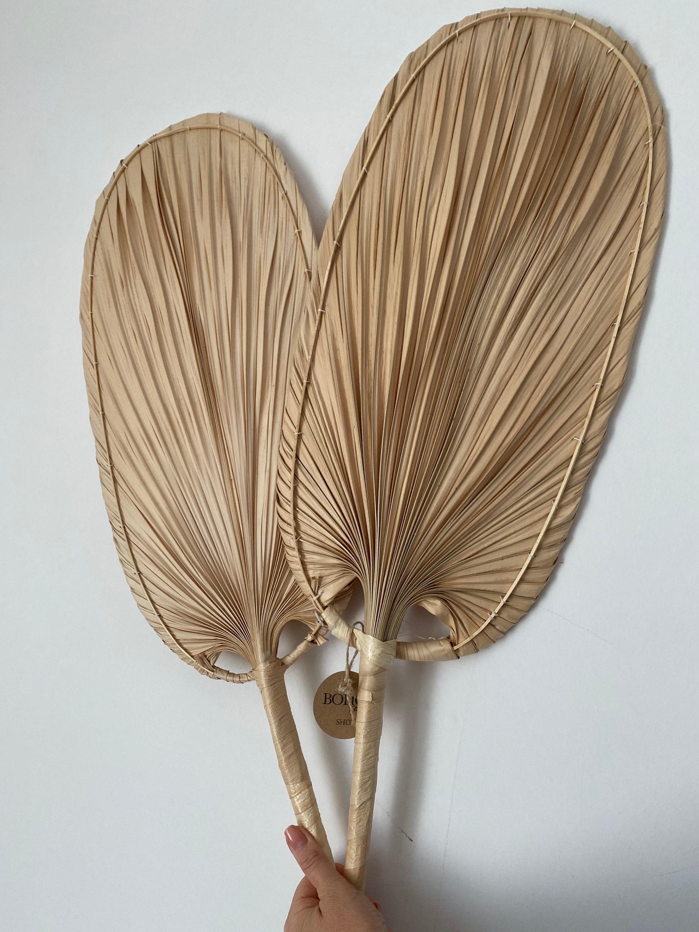 Dry Palm Leaf Wall Hanging, Leaf Standing Decor, Scandinavian Decor - Etsy