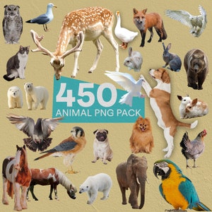 Animal PNG Bundle, Dog Png, Rabbit Png, Swan Png, Bear Png, Fox Png ...