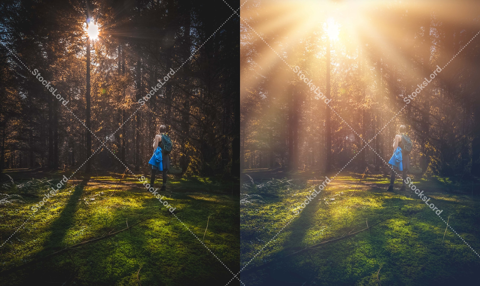 Sunlight Overlay, Sun Ray Overlay, Sun Flare Overlay, Sun Overlay for ...
