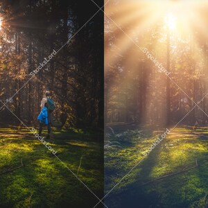 Sunlight Overlay, Sun Ray Overlay, Sun Flare Overlay, Sun Overlay for ...