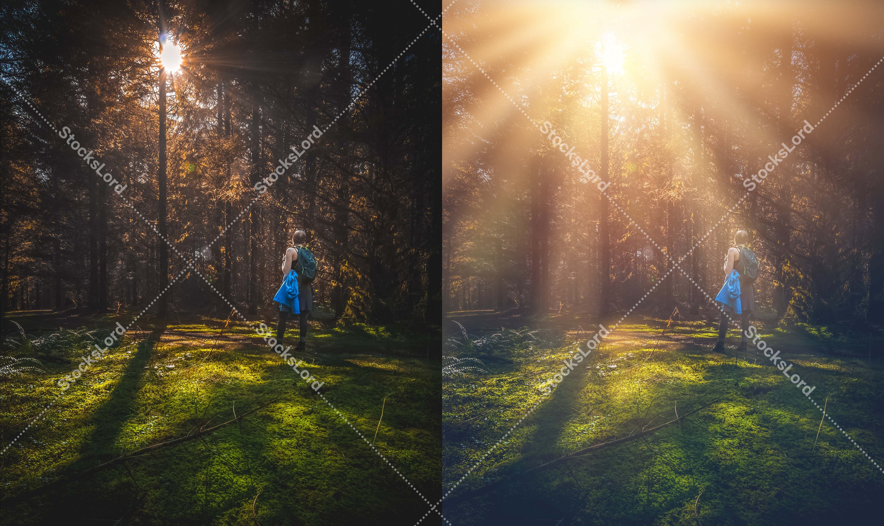 Sunlight Overlay, Sun Ray Overlay, Sun Flare Overlay, Sun Overlay for ...