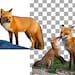 31 Fox Photo Overlays With Grass and Backdrops, Backdrop With Fox - Etsy