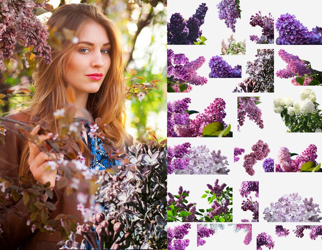 Flower Overlay, Flower Overlay Photoshop, Flower PNG, Flower Overlay ...