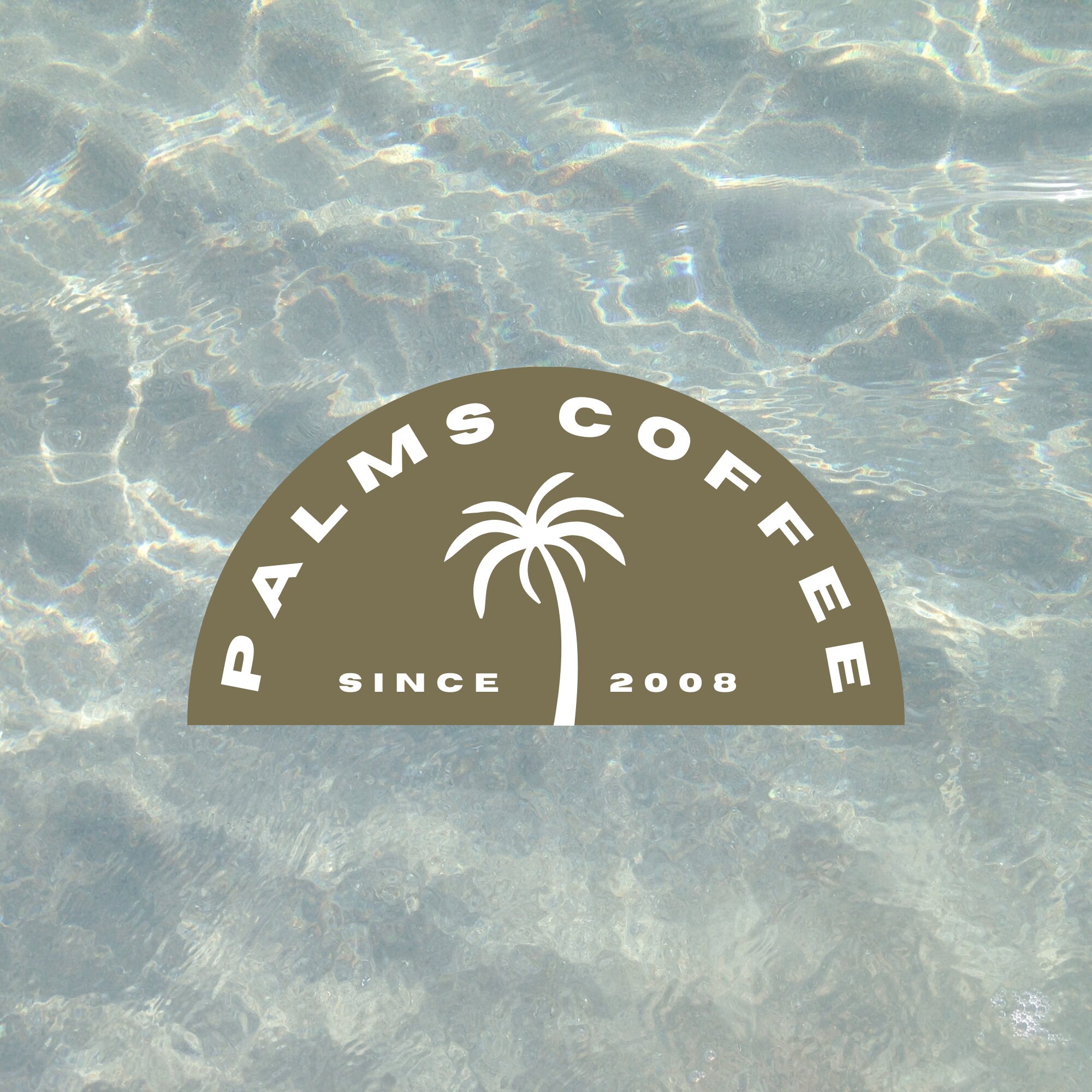 Palms | Brand Suite, Logo, Branding, Design - Etsy